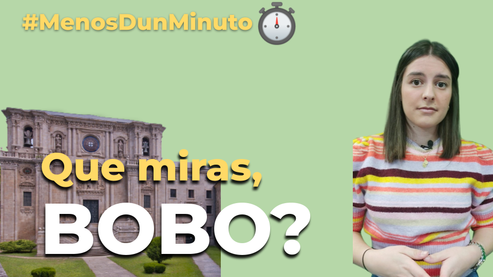 "Que miras, bobo?", unha frase con historia en Galicia - G24
