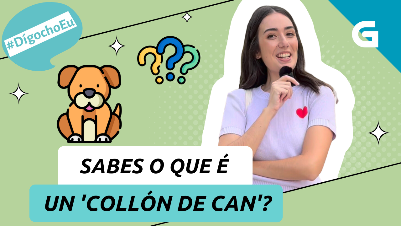 Sabes o que é un "collón de can"? #DígochoEu - G24