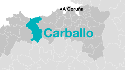 Os mercados das flores deixan atrás as restricións e volven con forza ...